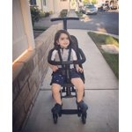 Dream On Me Coast Rider stroller Canopy in Black - Walmart.com