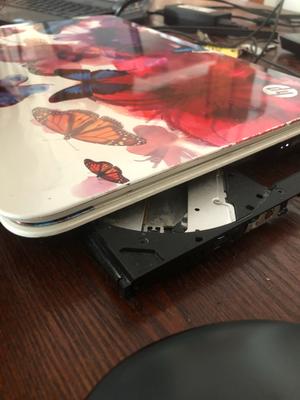 Hp Laptop With Butterfly Design