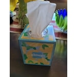 Kleenex Cooling Lotion Facial Tissues, 50 Tissues per Cube Box, 1 Pack ...