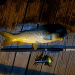 Berkley Big Game Spinning Rod, 8' Medium Heavy, 2-Piece Fiberglass ...