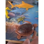 Zoo Troop Ocean Discovery Multipack – 15-Piece Sea Creature Play Set ...