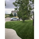 Scotts Step 1 Starter Lawn Food with Crabgrass Preventer for Seeding ...