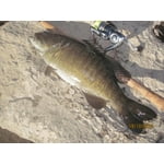 Berkley Nanofil Uni-Filament Fishing Line - Walmart.com