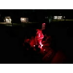 Design Toscano Decorative Zippy The Dragon Sculptural Mailbox Protector ...