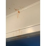 GOYA Organics Pumpkin Puree 15 oz - Pure Food, Sugar Free - Walmart.com