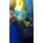 Spiderwire Ultracast Invisi-Braid Fishing Line - 30-pound 300 Yards ...