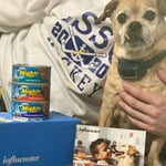 (12 Pack) Purina Mighty Dog Small Breed Wet Dog Food Variety Pack ...