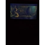 SAMSUNG 75” Class DU6900 Crystal UHD 4K Smart TV UN75DU6900FXZA 2024 ...