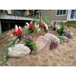 Red Hops Stem by Ashland® - Walmart.com