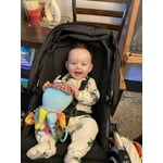 Evenflo Reversi Lightweight Stroller, Artimus Blue - Walmart.com