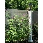 Mayne Liberty Lamp Post - Decorative Post Only - Polyethylene - With ...