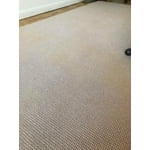 Scotchgard Stain Blocker & Repellent Rug & Carpet Protector Spray, 17 ...