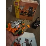 LEGO Halloween Cat & Mouse 40570 Building Kit with Pumpkin (328 Pieces ...
