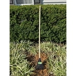 Expert Gardener 8-inch Wood and Poly Shrub Leaf Rake - Walmart.com