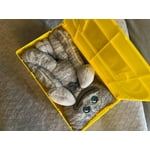 Poppy Playtime VHS Bundle: Exclusive Collectibles, Huggy Wuggy Plush ...