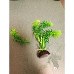 Penn-Plax Aquaterrium Tank - Hydroponic Glass Aquarium for Live Plants ...