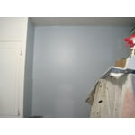 ColorPlace ULTRA Interior Paint & Primer, Fossil Grey, Satin, 1 Gallon ...