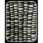 DII Multi Nautical Blue Rag Rug - Walmart.com