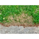 TERRO Fire Ant Killer Granules 2 lb Outdoor Long-Lasting Waterproof ...