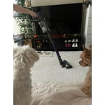 Shark PowerDetect Cordless Stick Vacuum Cleaner - DuoClean Detect ...