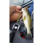 Spiderwire Ultracast Invisi-Braid Fishing Line - 30-pound 300 Yards ...