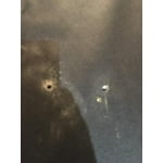 CAP Strength Flat Utility Weight Bench (600 lb Weight Capacity), Gray ...