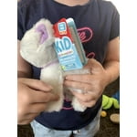 Kid Connection Mini Walking Pet White Cat Battery Plush Toy for ...