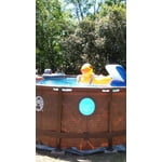 Intex Inflatable Yellow Duck Ride-On Pool Float Toy for Adults, Size ...