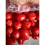 SUNSET Angel Sweet Tomatoes 1 Pint Pack Fresh Juicy Bite-Size Grape ...