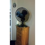 Mainstays 12" 3-Speed Oscillating Table Fan, FT30-13PB, Black - Walmart.com
