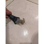 HART Utility Blade Glass Scraper with On-board Storage - Walmart.com