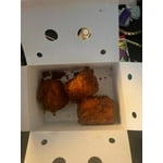 Tater Kegs Hot & Ready-to-Eat, Cheese Bomb, Shelf-Stable, 3 Count, 3 ...