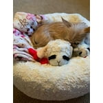 Multipet Lamb Chop Ultra Plush Fabric Dog Bed, Perfect for Pet Sleep, Puppy Snuggle, and ...