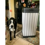 Buddeez Plastic Pet Food Container for Dogs/Cats with Wheels and Scoop ...