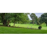 Design Toscano Big Burly Bunnies Rabbit Statues - Walmart.com