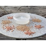 Wild Harvest Universal Blend Premium Small Birds Seed, 3 lbs - Walmart.com