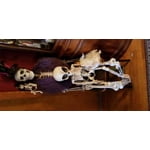 Seasons Brand Life Size Prop Decor - Alien Skeleton Halloween ...