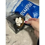 Better Homes & Gardens Wicking Ceramic Diffuser Floral Frosted ...