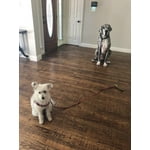 simplehuman 25L Metal Pet Food Storage Container, Large Dry Dog/Cat ...