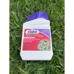Bonide Eight Insect Spray Pint - Walmart.com