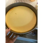 Wilton Cheesecake Pan 9x3 inch Steel Springform with Removable Bottom ...