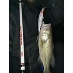 Berkley Big Game Spinning Rod, 8' Medium Heavy, 2-Piece Fiberglass ...