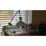 Woods 0165 Brooder Lamp with Bulb Guard,10.5 Inch Reflector and 6 Foot ...