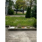 "Yard Max 22"" 201cc 6 Speed CVT RWD 3-in-1 Gas Powered Lawn Mower ...