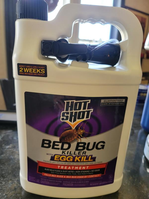 Hot Shot Bed Bug Interceptor Hot Shot Bed Bug Killer With Egg Kill ...