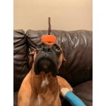 Bully Grip Stick Holder Orange by Bully Grip - Walmart.com