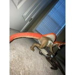 Jurassic Hammond Collection XL Spinosaurus Action Figure - Walmart.com