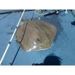 Shakespeare Tiger Spinning Rod and Reel Combo - 7', 2-piece - Walmart.com