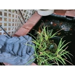 Algreen Outdoor Waterfall Feature, Tranquility Pond Watercourse ...