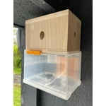 Bees N Things Wood Hanging Carpenter Bee Catcher for Outdoor Use ...